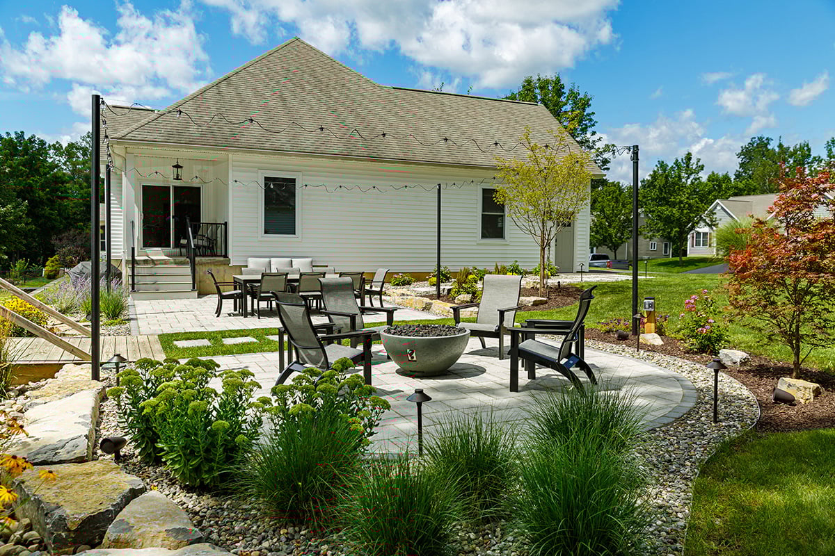 12 Upstate NY Native Plants: Why They Matter & How to Use Them