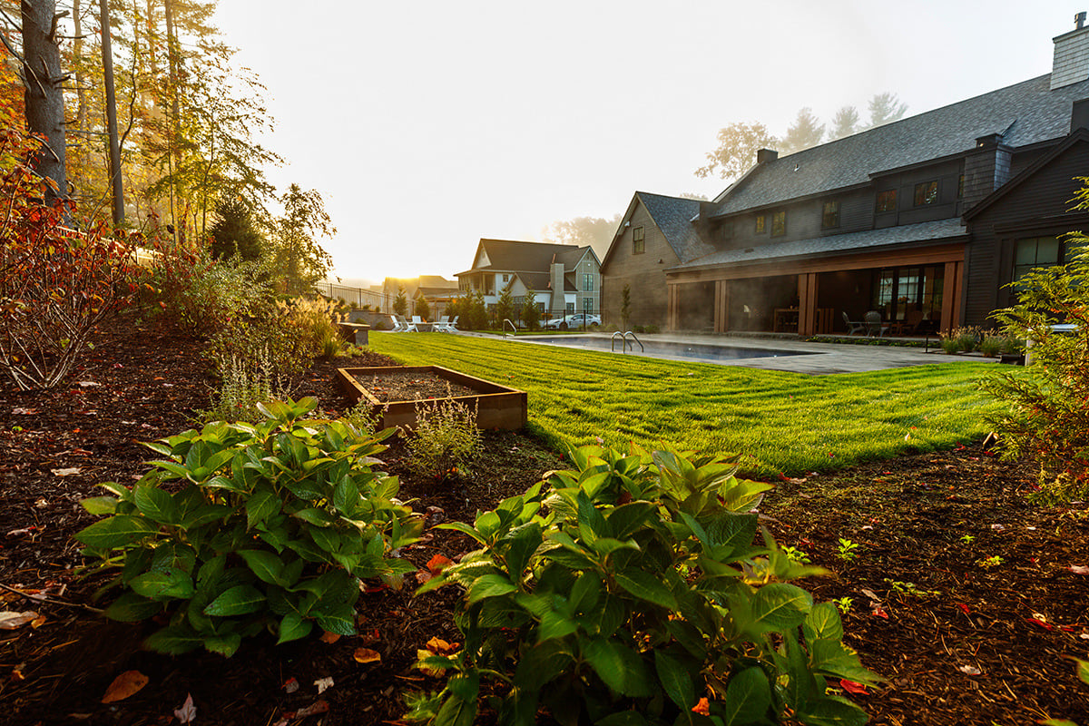 12 Upstate NY Native Plants: Why They Matter & How to Use Them